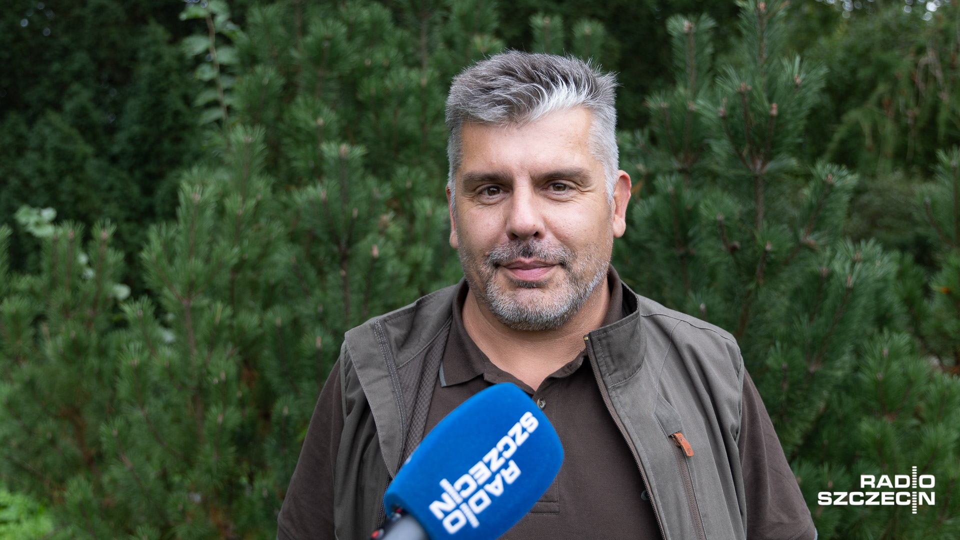 Oczekiwania są duże, a grzybów w lasach nie ma [WIDEO, ZDJĘCIA ...