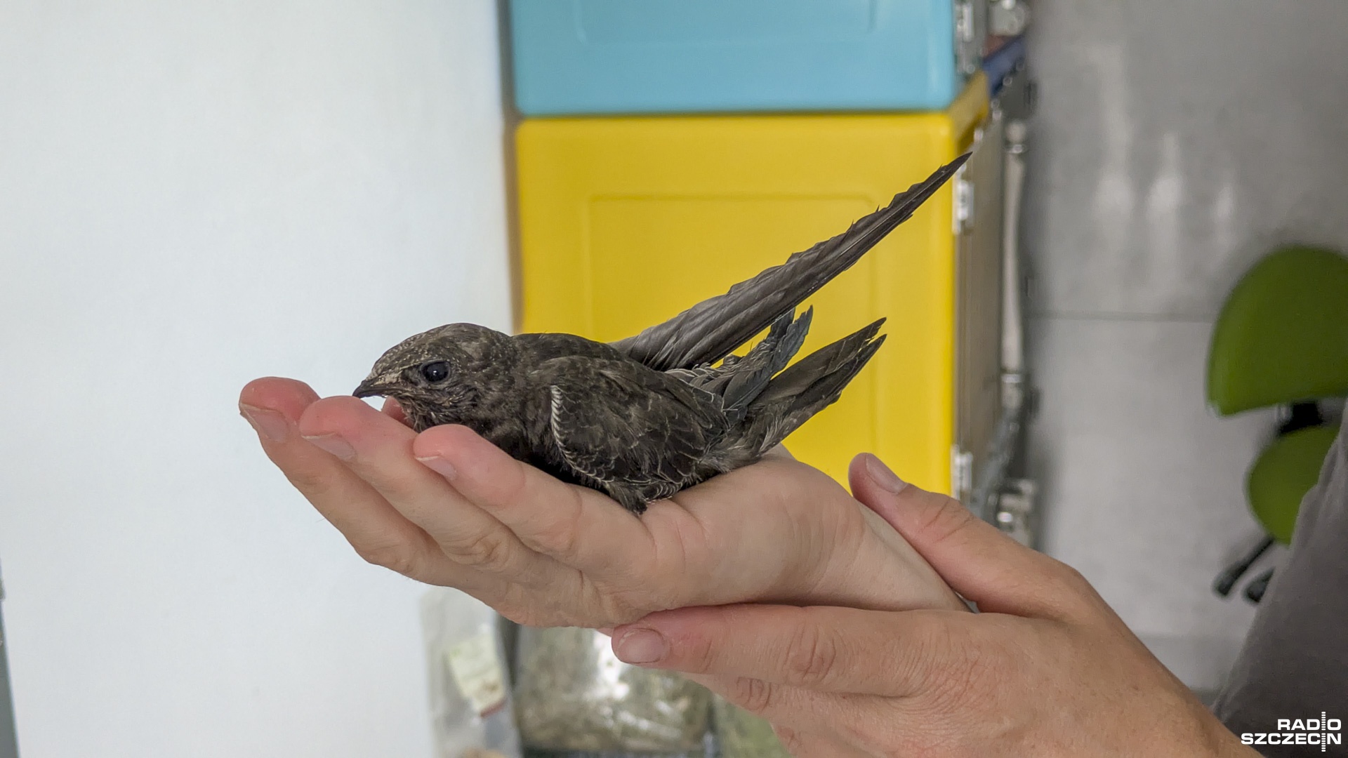 Jeżykowo niedługo się powiększy, ale jest też pewien apel [WIDEO ...